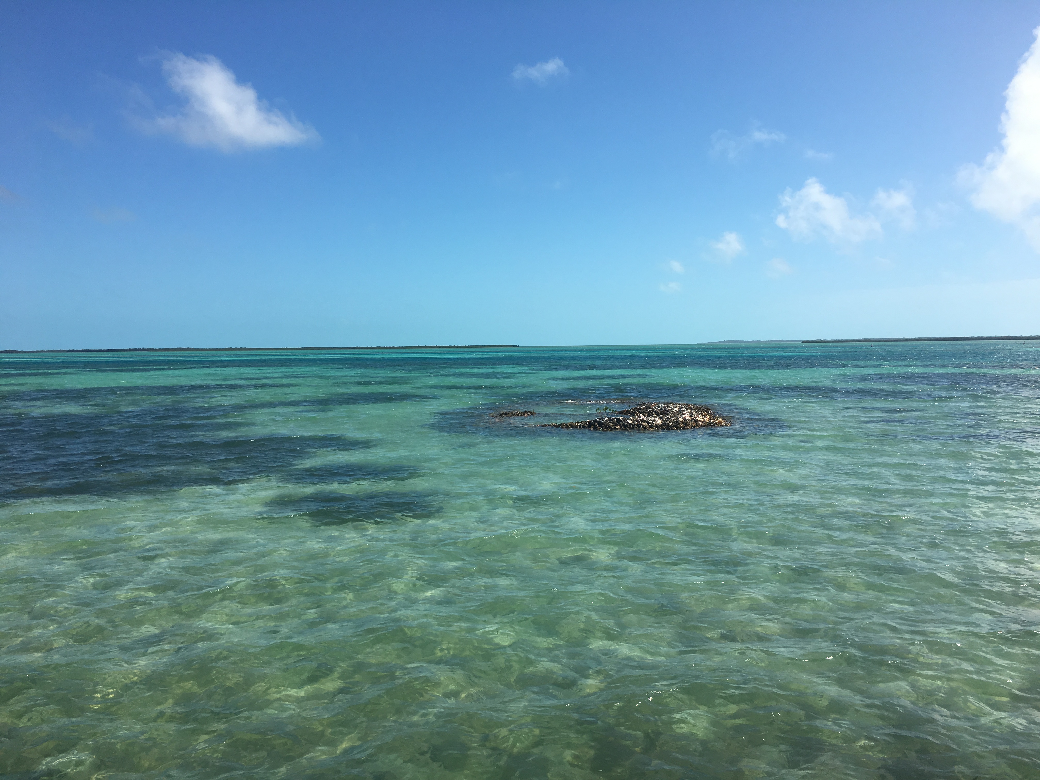 A Blissful Weekend in Bimini – Postcards and Airplanes