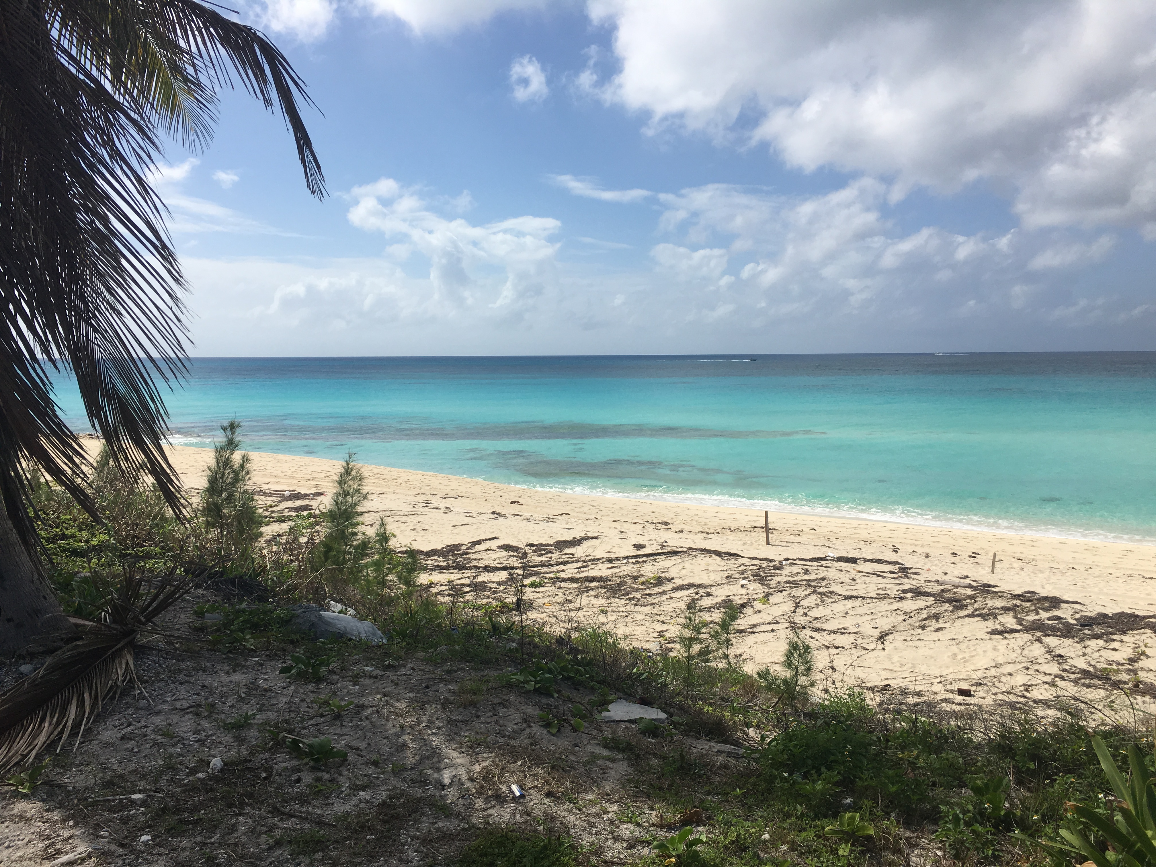 A Blissful Weekend in Bimini – Postcards and Airplanes